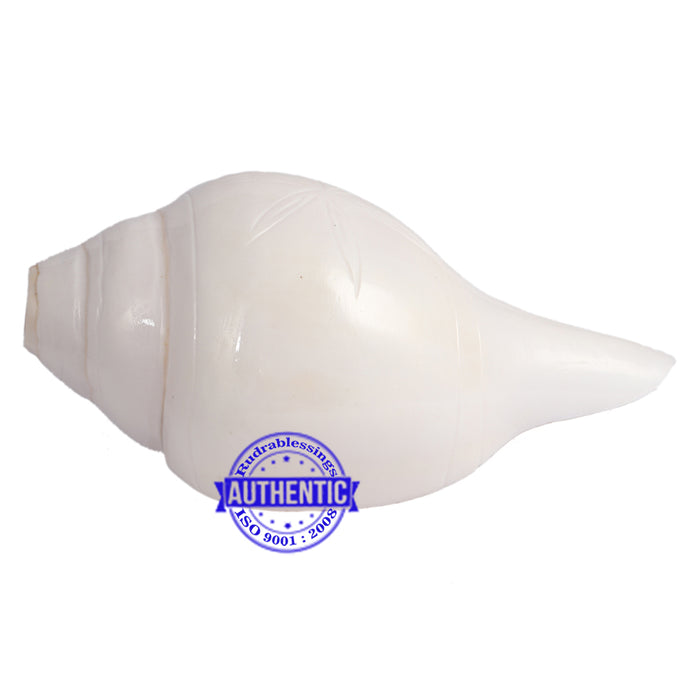 8 Lines / 8 Disha Vastu Shankh - 22 – Rudra and Sons