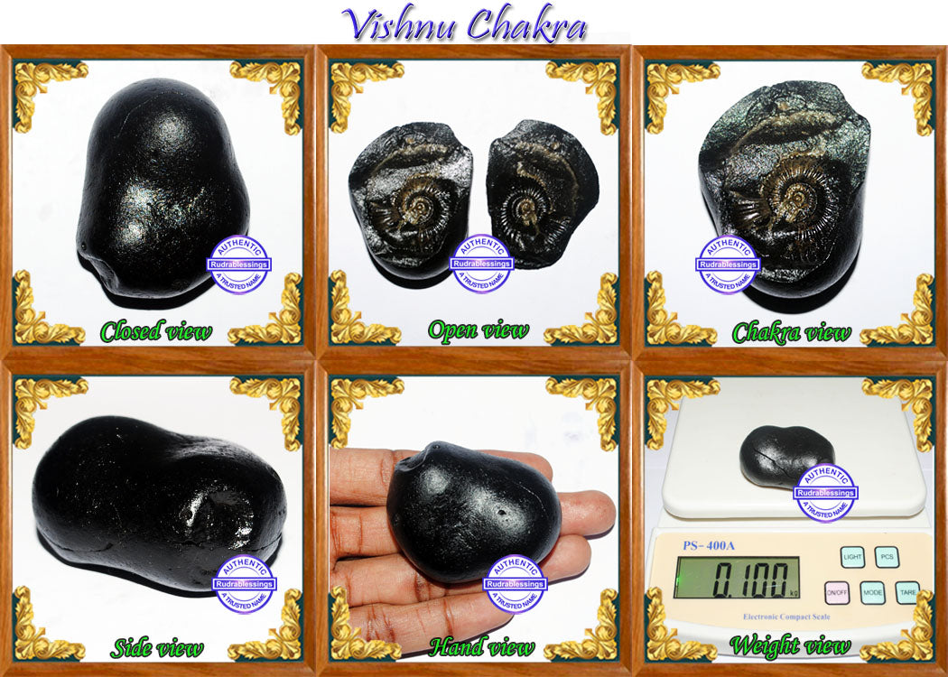 Vishnu Chakra - 14 – Rudra and Sons