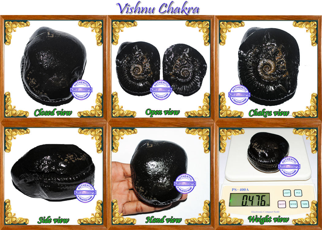 Vishnu Chakra - 18 – Rudra and Sons