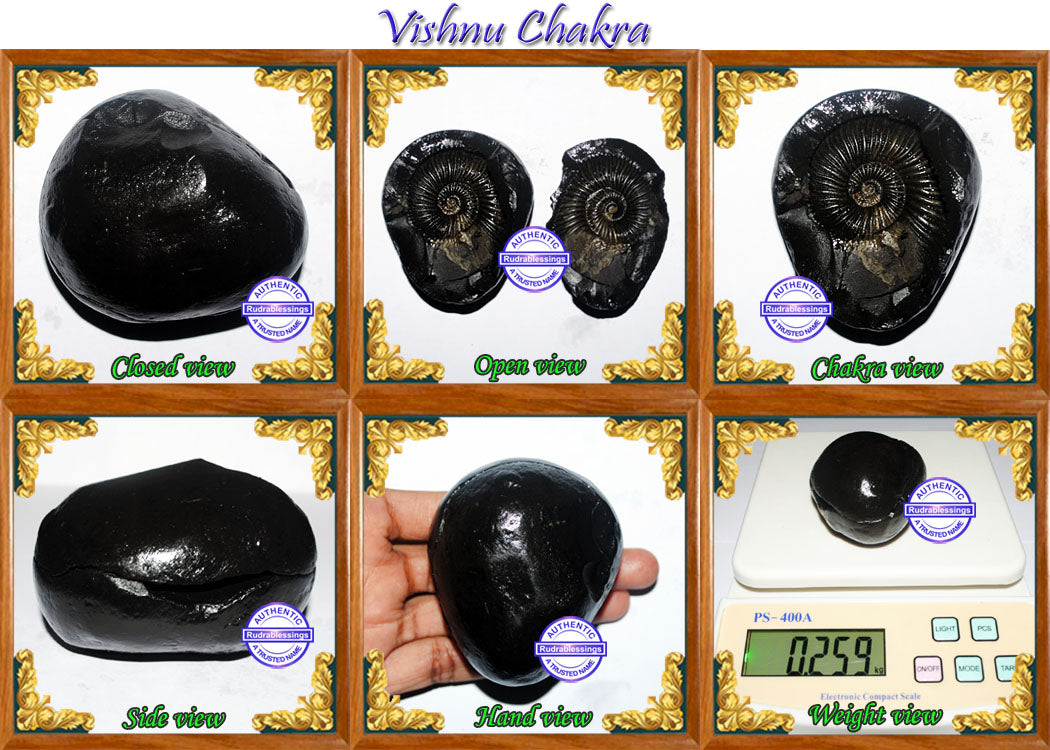 Vishnu Chakra - 8 – Rudra and Sons