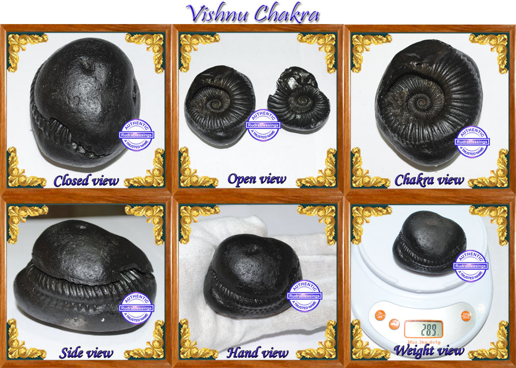 Vishnu Chakra - 3 – Rudra and Sons