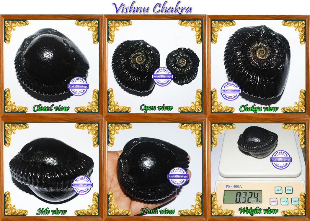 Vishnu Chakra - 5 – Rudra and Sons